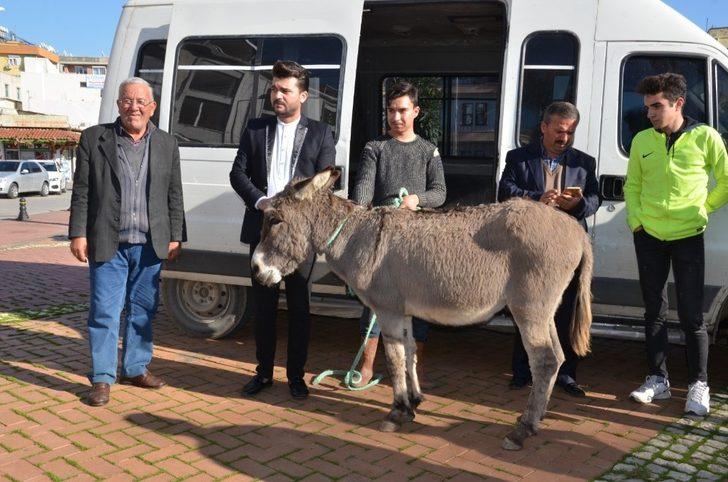 Yaylaya terk edilen eşek için seferber oldular - Antalya Haberleri Yaylaya terk edilen eşek için seferber oldular - Antalya Haberleri