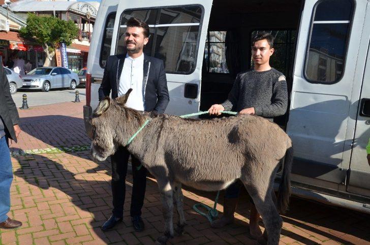 Yaylaya terk edilen eşek için seferber oldular - Antalya Haberleri Yaylaya terk edilen eşek için seferber oldular - Antalya Haberleri
