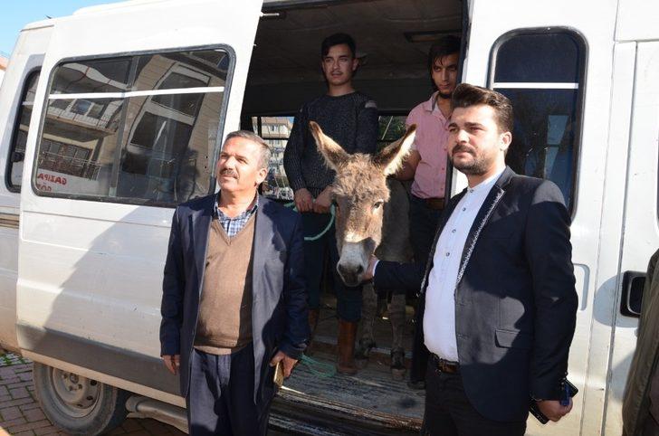 Yaylaya terk edilen eşek için seferber oldular - Antalya Haberleri Yaylaya terk edilen eşek için seferber oldular - Antalya Haberleri