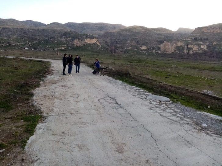 Sular altında kalacak olan Hasankeyf’te sokak hayvanları taşınıyor ...