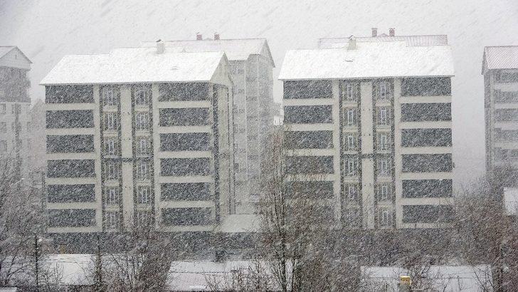 Bitlis’te lapa lapa kar yağışı - Bitlis Haberleri