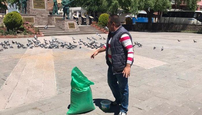 Sokağa çıkma yasağında sokak hayvanlarının beslenmesini üstlendiler ...