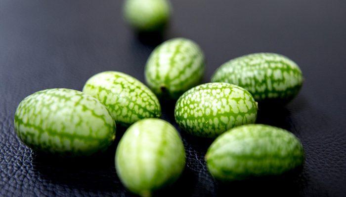 Tadı hıyara, görünüşü karpuza benziyor! İşte Antalya'nın mini meyveleri ...