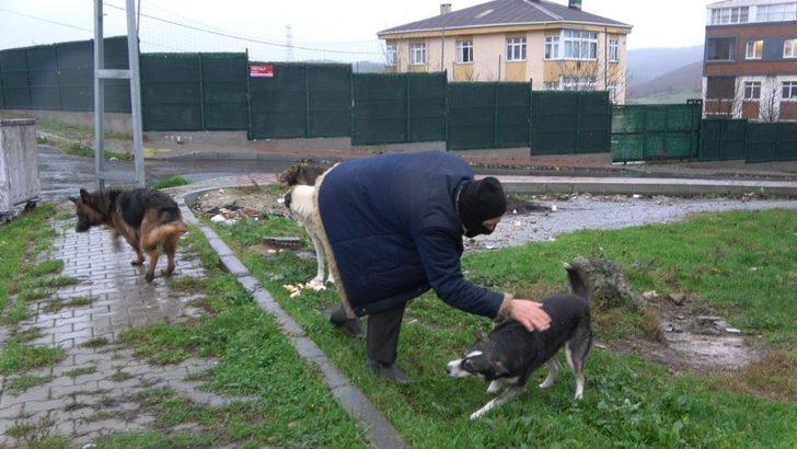 (Özel) Yaşlı adam emekli maaşının çoğunu sokak hayvanları için harcıyor ...