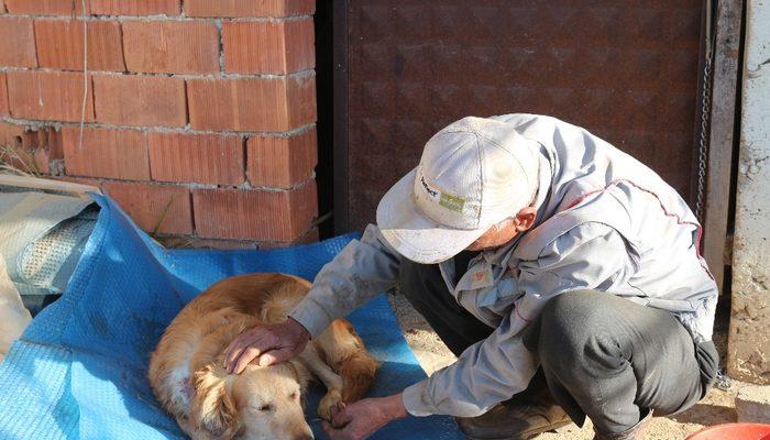 Köpeğinin vurulduğunu veterinere götürünce anladı - Mynet Yaşam