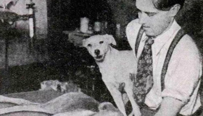 Ölen bir canlıyı insanların gözünün önünde dirilten ilk kişi: Dr ...