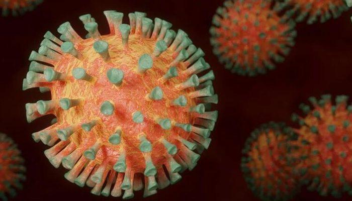 Covid Beta virüsü nedir, öldürür mü? Koronavirüs Beta varyantı ...