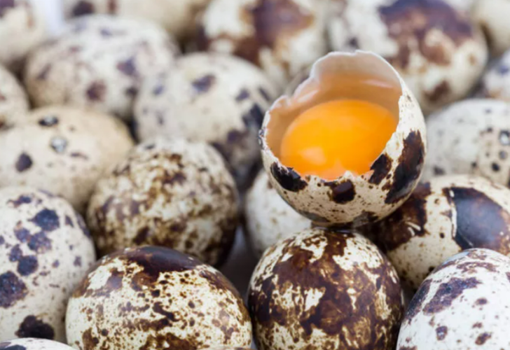 Bıldırcın yumurtası faydaları nelerdir? Bıldırcın yumurtası nasıl ...