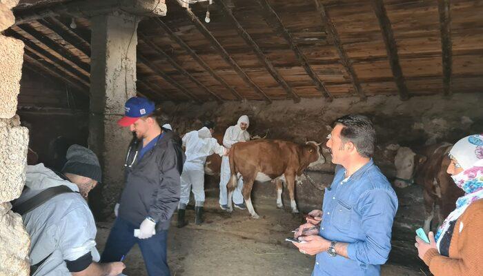 Erzurum'da Hayvan Hastanesi hizmet aracı ilçeleri gezmeye devam ediyor ... Erzurum'da Hayvan Hastanesi hizmet aracı ilçeleri gezmeye devam ediyor ...