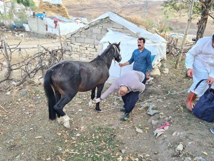 Erzurum'da Hayvan Hastanesi hizmet aracı ilçeleri gezmeye devam ediyor ... Erzurum'da Hayvan Hastanesi hizmet aracı ilçeleri gezmeye devam ediyor ...