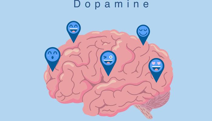 Dopamin hormonu nedir, ne işe yarar? Dopamin hormonu hangi duyguyu yok ...