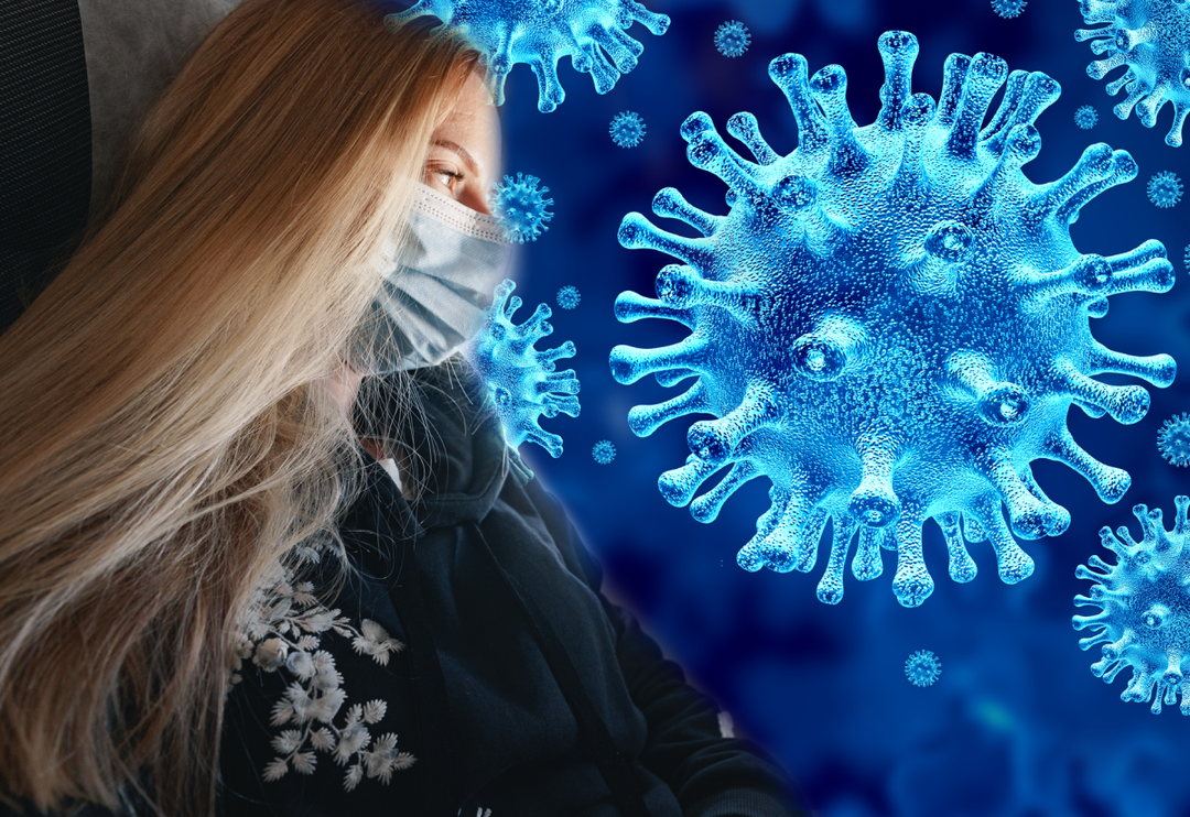 Bilim adamları uyardı! Köpek gribi insanlar için büyük risk oluşturuyor ...