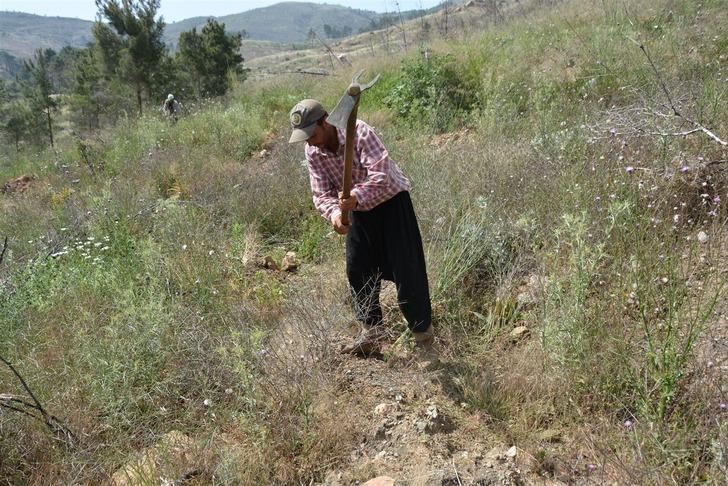 Mersin’de yanan orman sahalarında bakım çalışmaları tamamlandı - Mersin ... Mersin’de yanan orman sahalarında bakım çalışmaları tamamlandı - Mersin ...