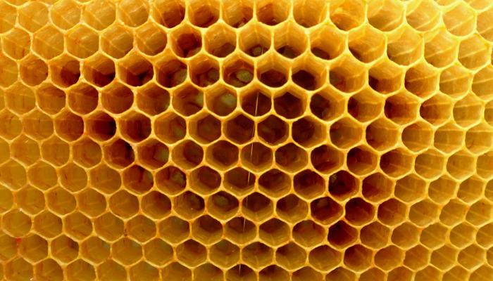 Tripofobi (delik fobisi) nedir? Tripofobi olduğumu nasıl anlarım ...