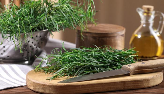 Tarhun nedir, nasıl kullanılır? Tarhunun faydaları nelerdir? - Sağlık ...