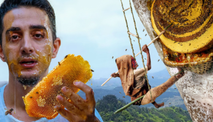 YouTuber Ruhi Çenet, Nepal'in 'Deli bal' hasadına katıldı! 200 gramı ...