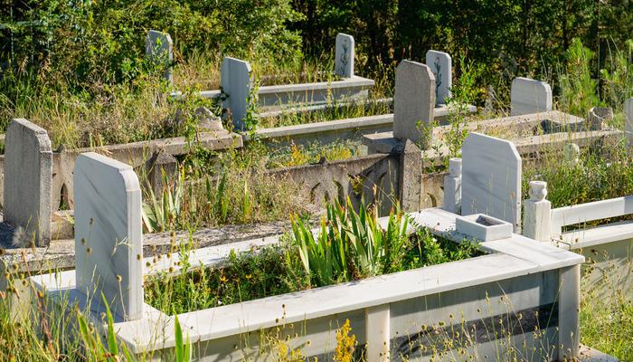 Selası verildi, mezarı kazıldı... Ölmeyince cenaze programı iptal ...