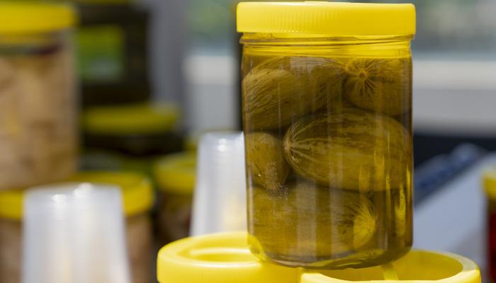 Kelek turşusu tarifi: Kelek turşusu nasıl yapılır? - Turşu Tarifleri